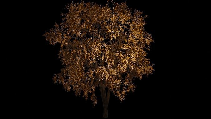 3D model Autumn Tree PBR low-poly game ready tree VR / AR / low-poly ...