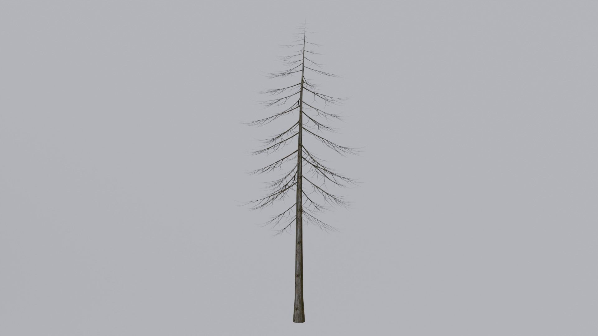 3D model Pine Trees Collection VR / AR / low-poly | CGTrader