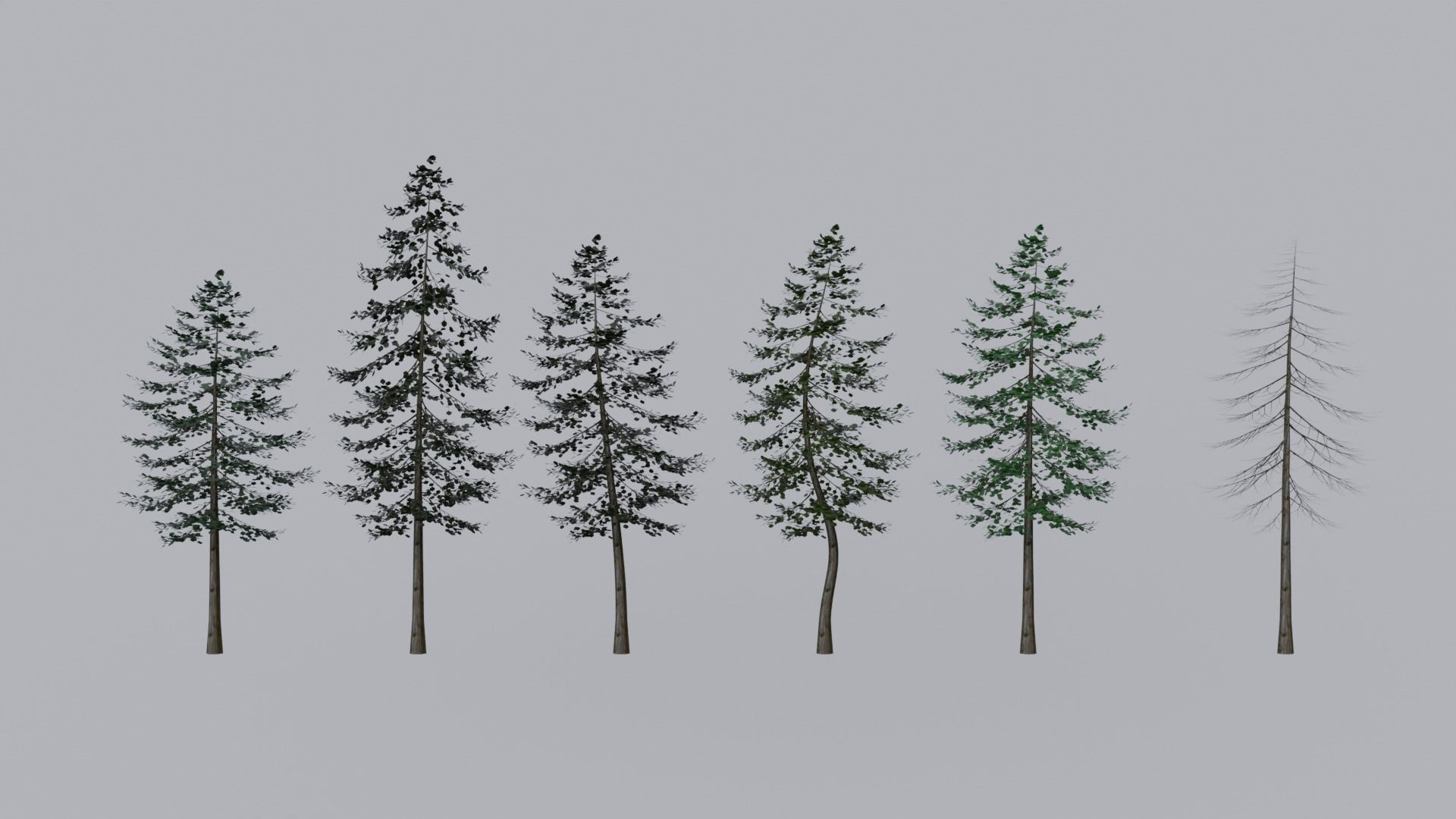 3D model Pine Trees Collection VR / AR / low-poly | CGTrader