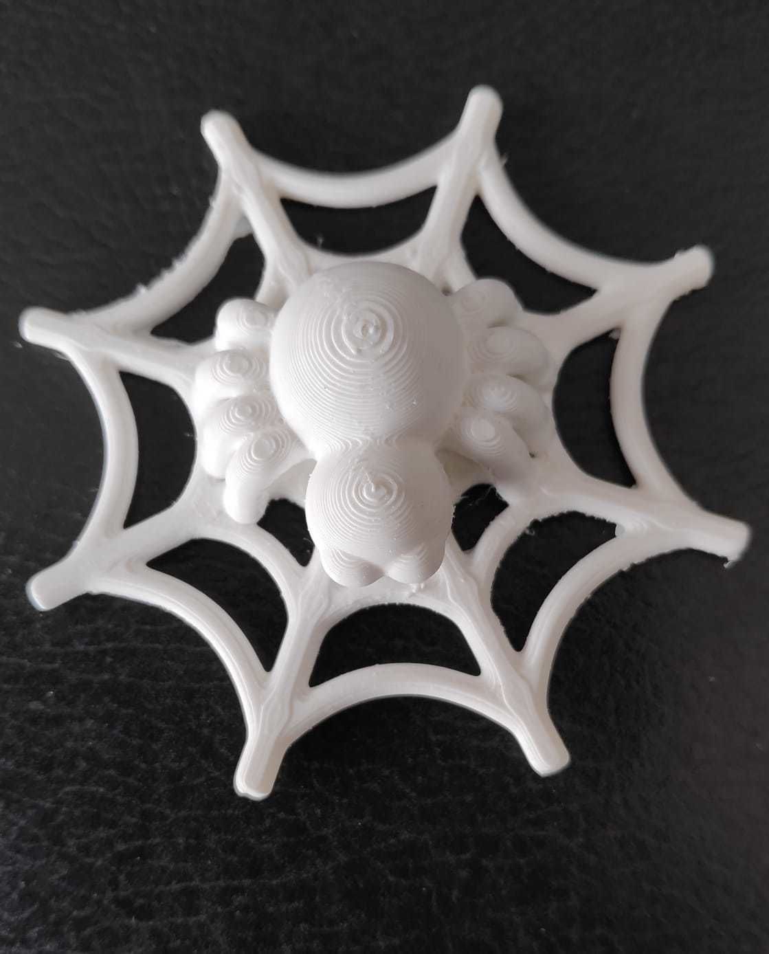 Spider web 3D model 3D printable | CGTrader