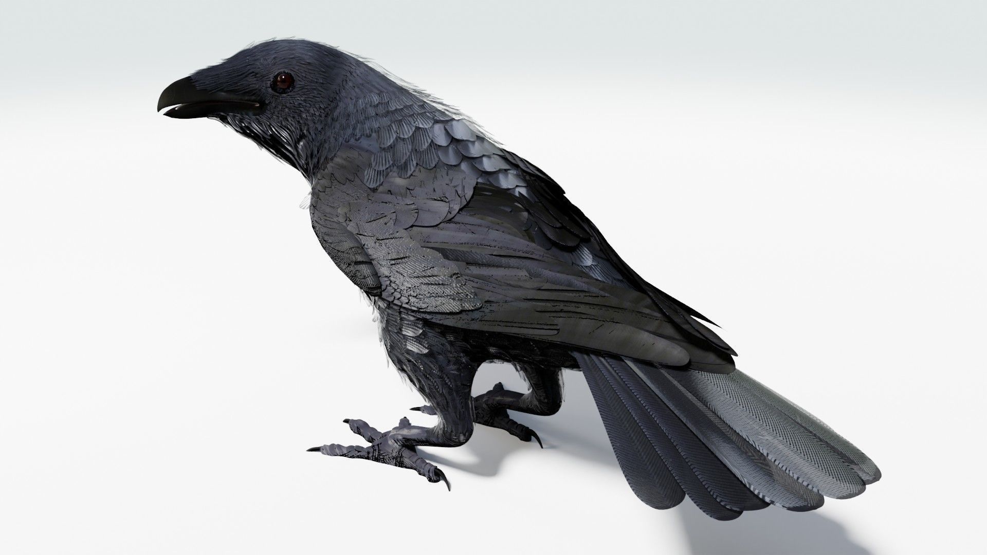 3D model CROW - BLENDER VR / AR / low-poly | CGTrader