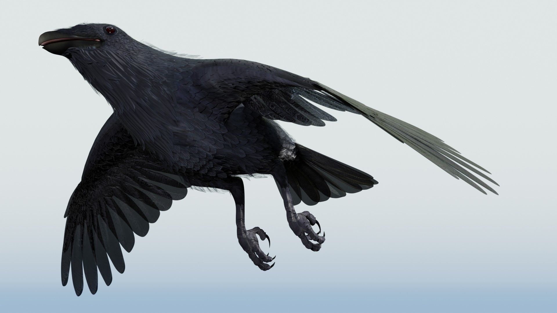 3D model CROW - BLENDER VR / AR / low-poly | CGTrader