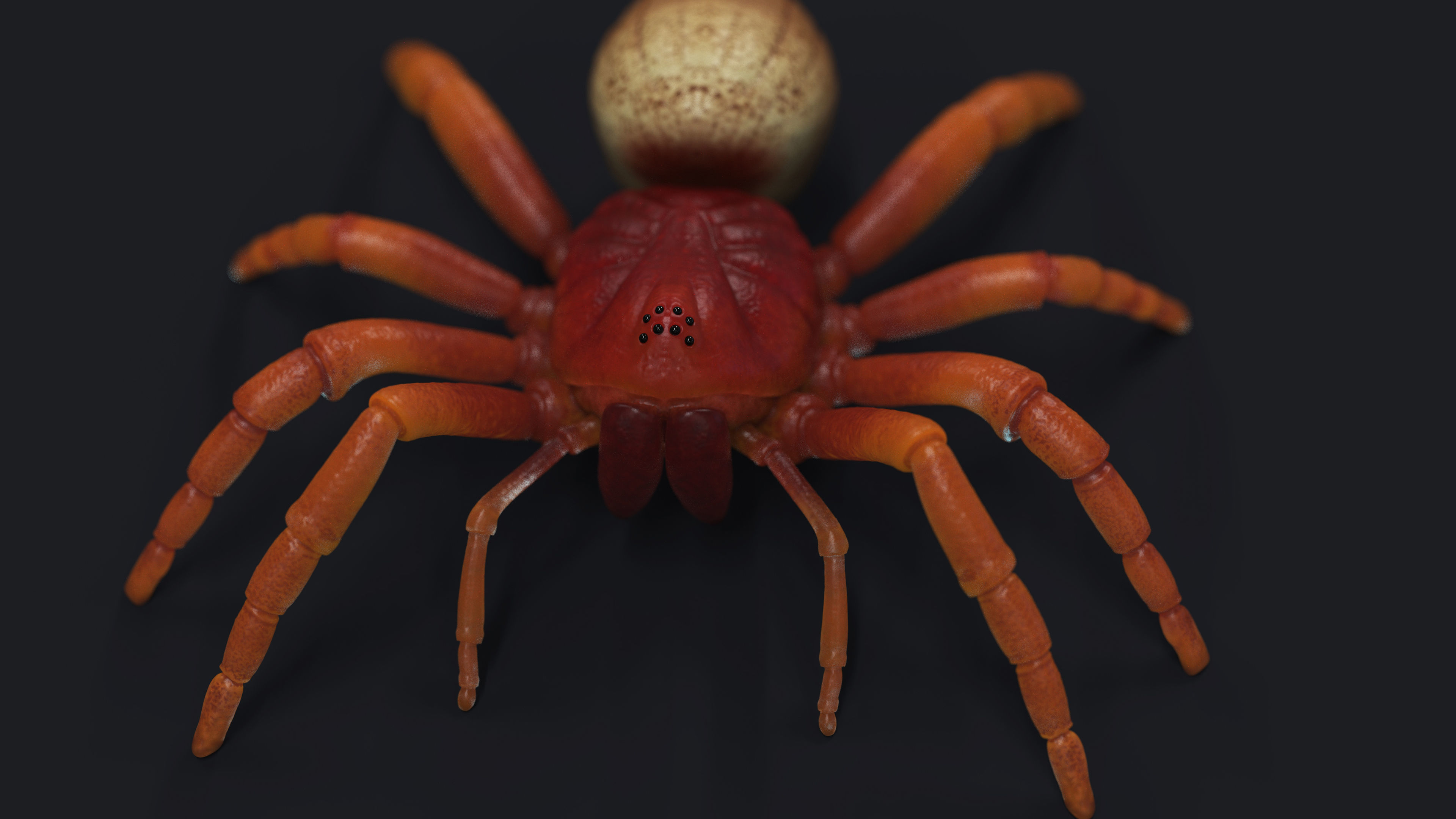 Spider stl 3D model 3D printable | CGTrader