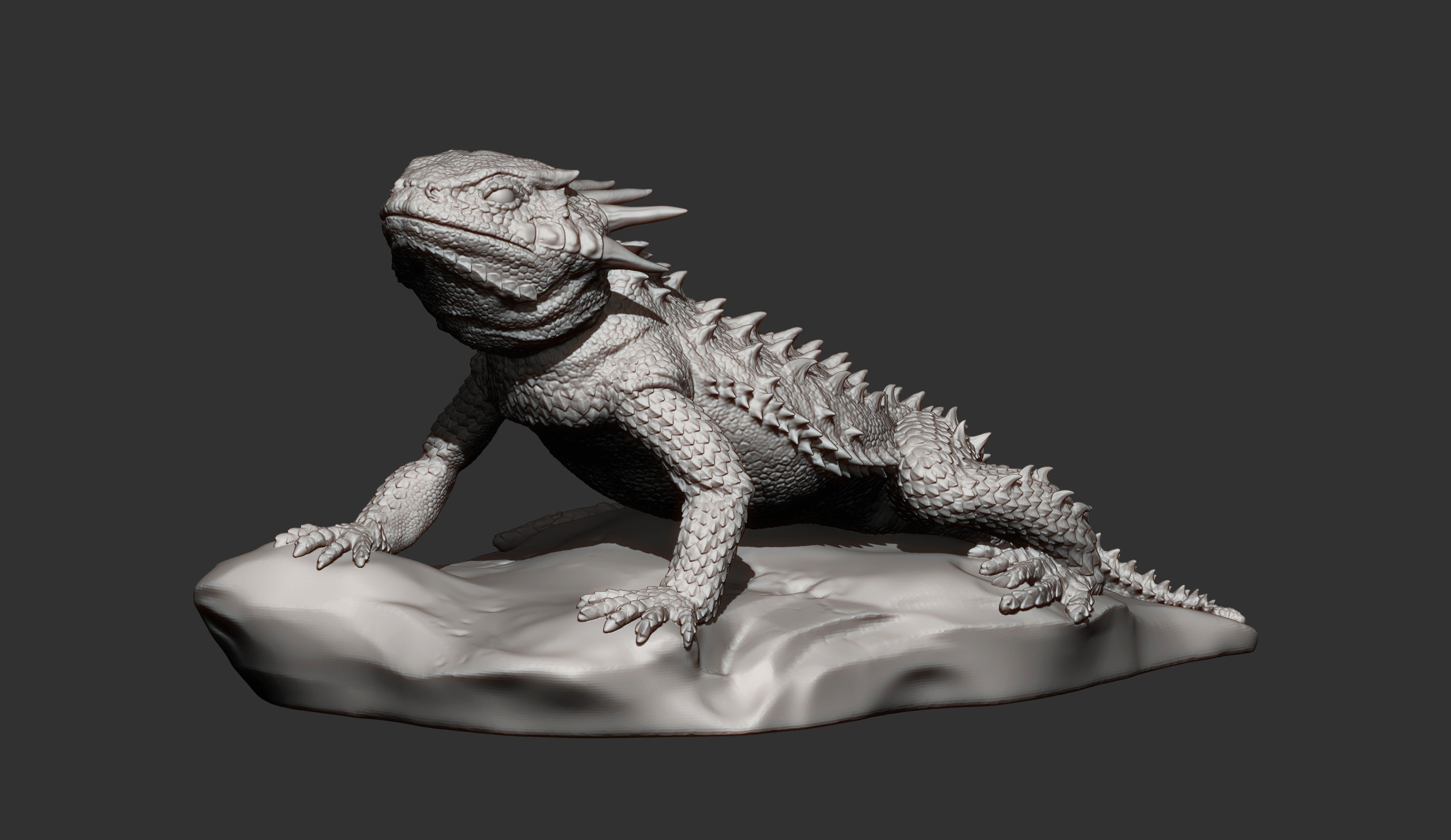 Flat-horned toad lizard Phrynosoma platyrhinos 3D model 3D printable ...
