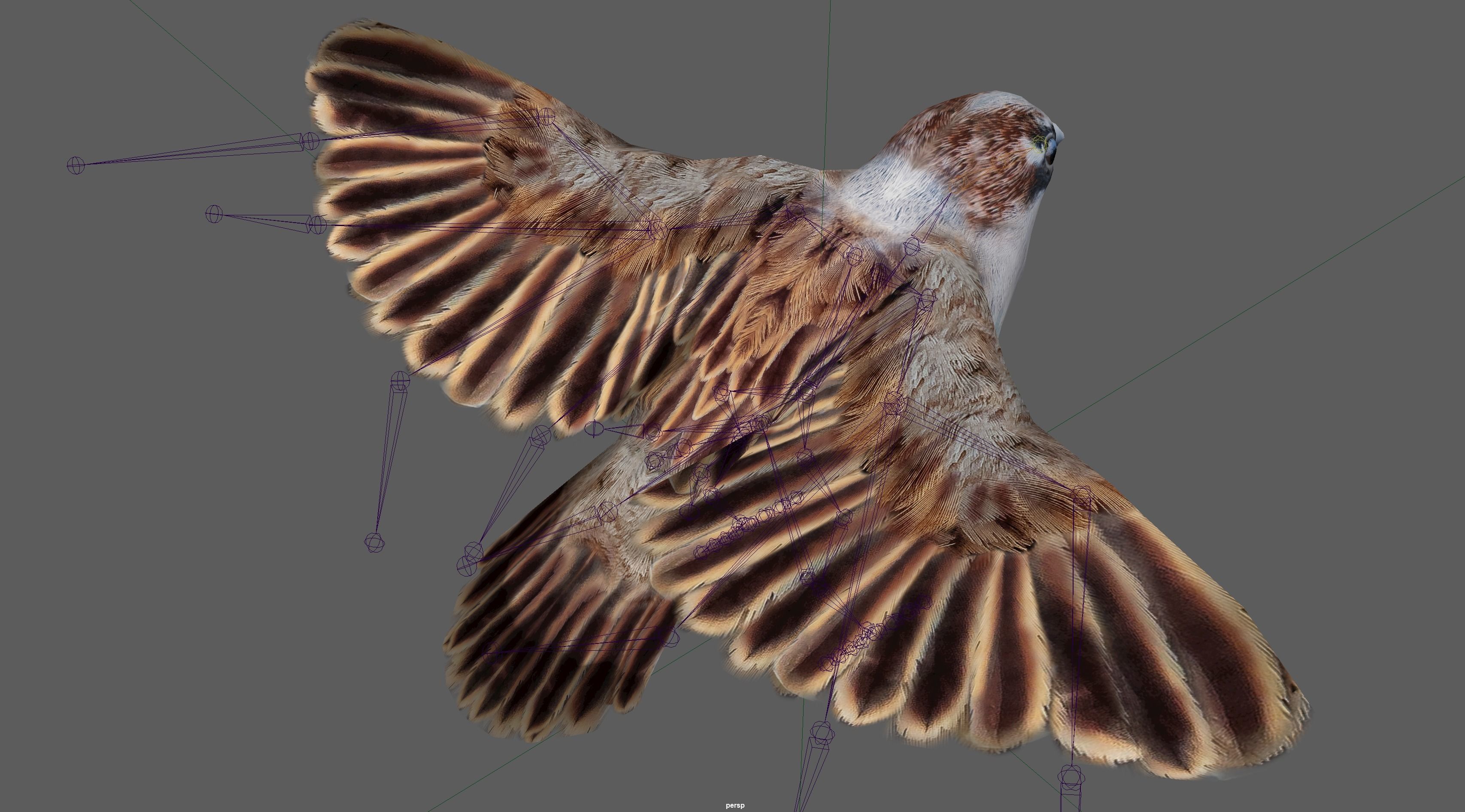 3D model Sparrow Rig VR / AR / low-poly | CGTrader