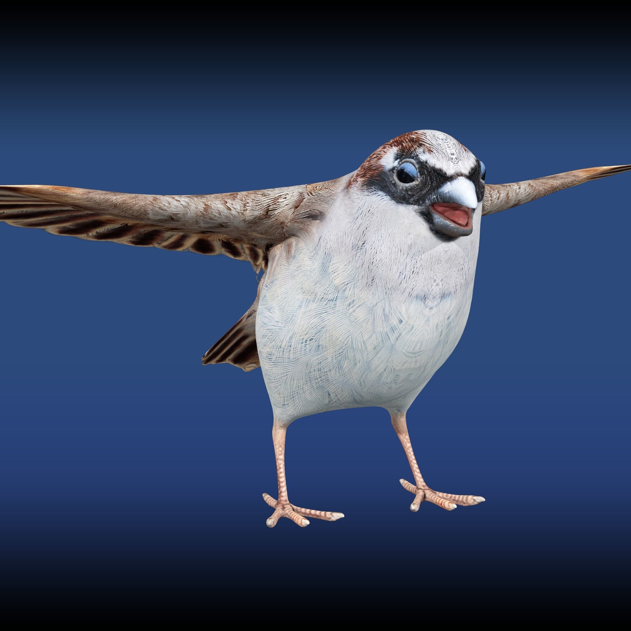 3D model Sparrow Rig VR / AR / low-poly | CGTrader