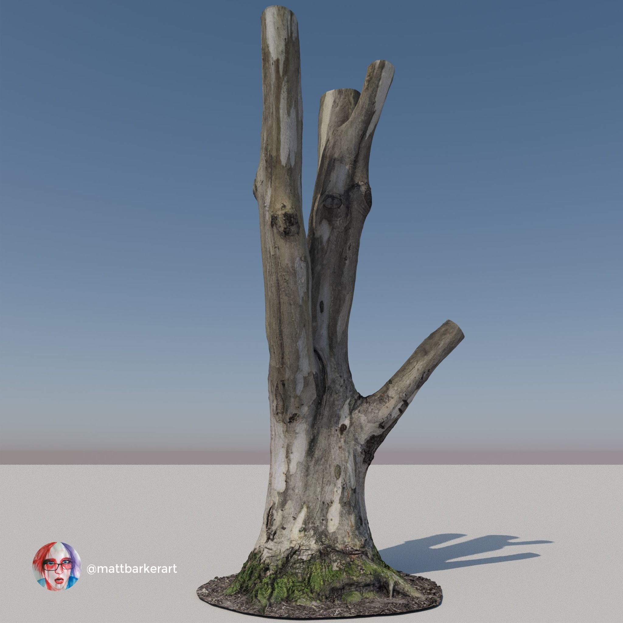 3D model Gum Tree Trunk 3D Model VR / AR / low-poly | CGTrader