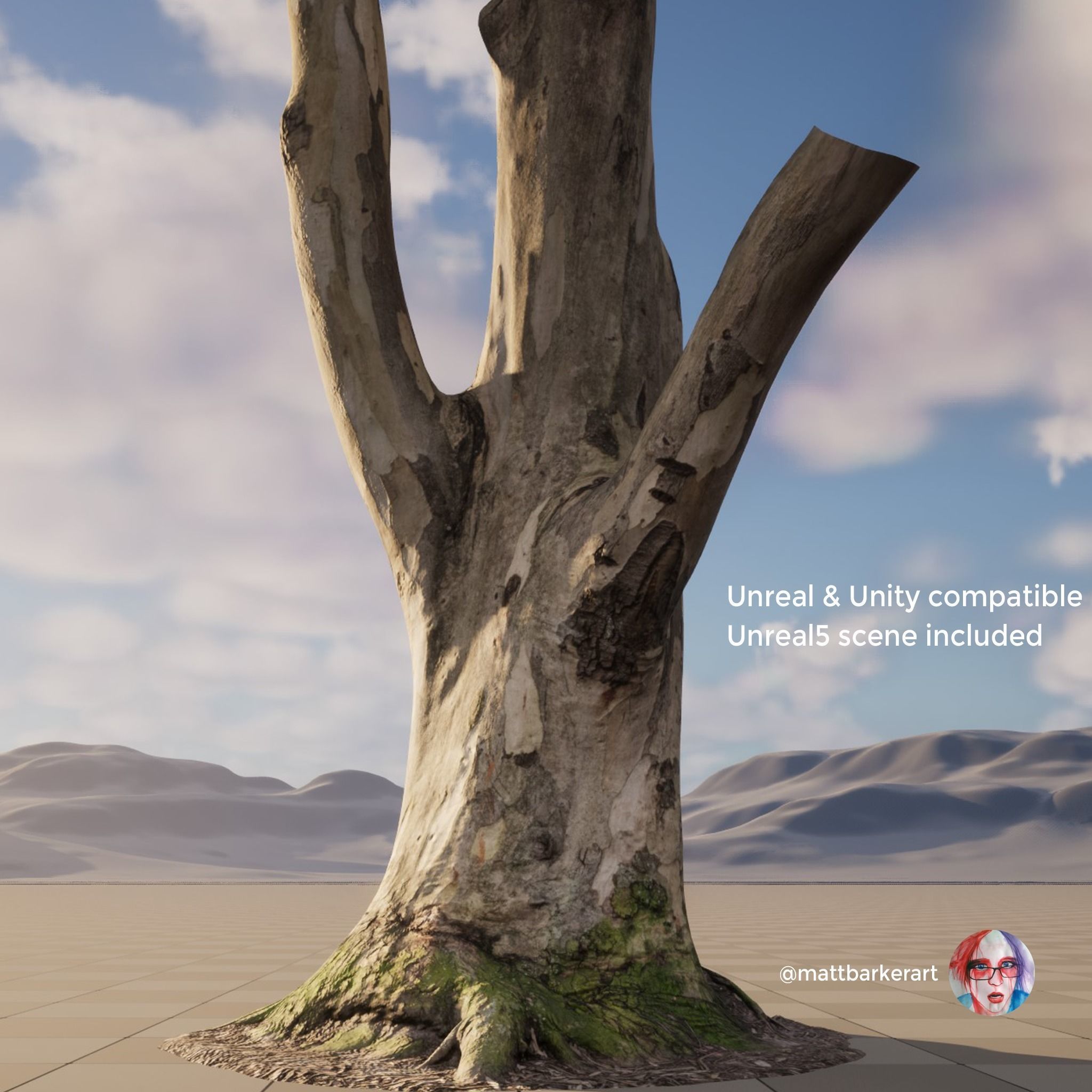 3D model Gum Tree Trunk 3D Model VR / AR / low-poly | CGTrader