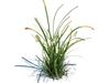 Green Simple Grass Tuffet 3D model | CGTrader