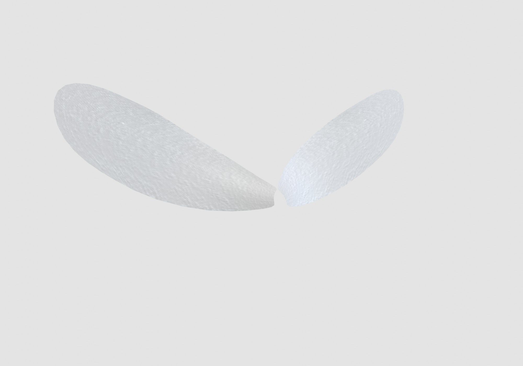 simple transparent wings 3D model | CGTrader