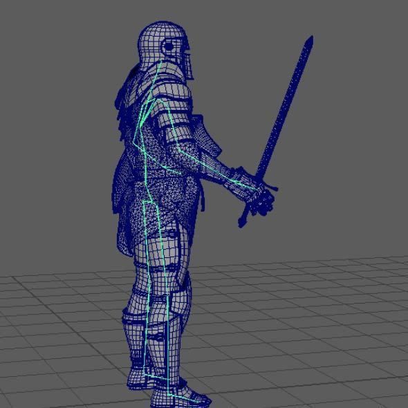Knight With Sword and Shield 3D model rigged | CGTrader