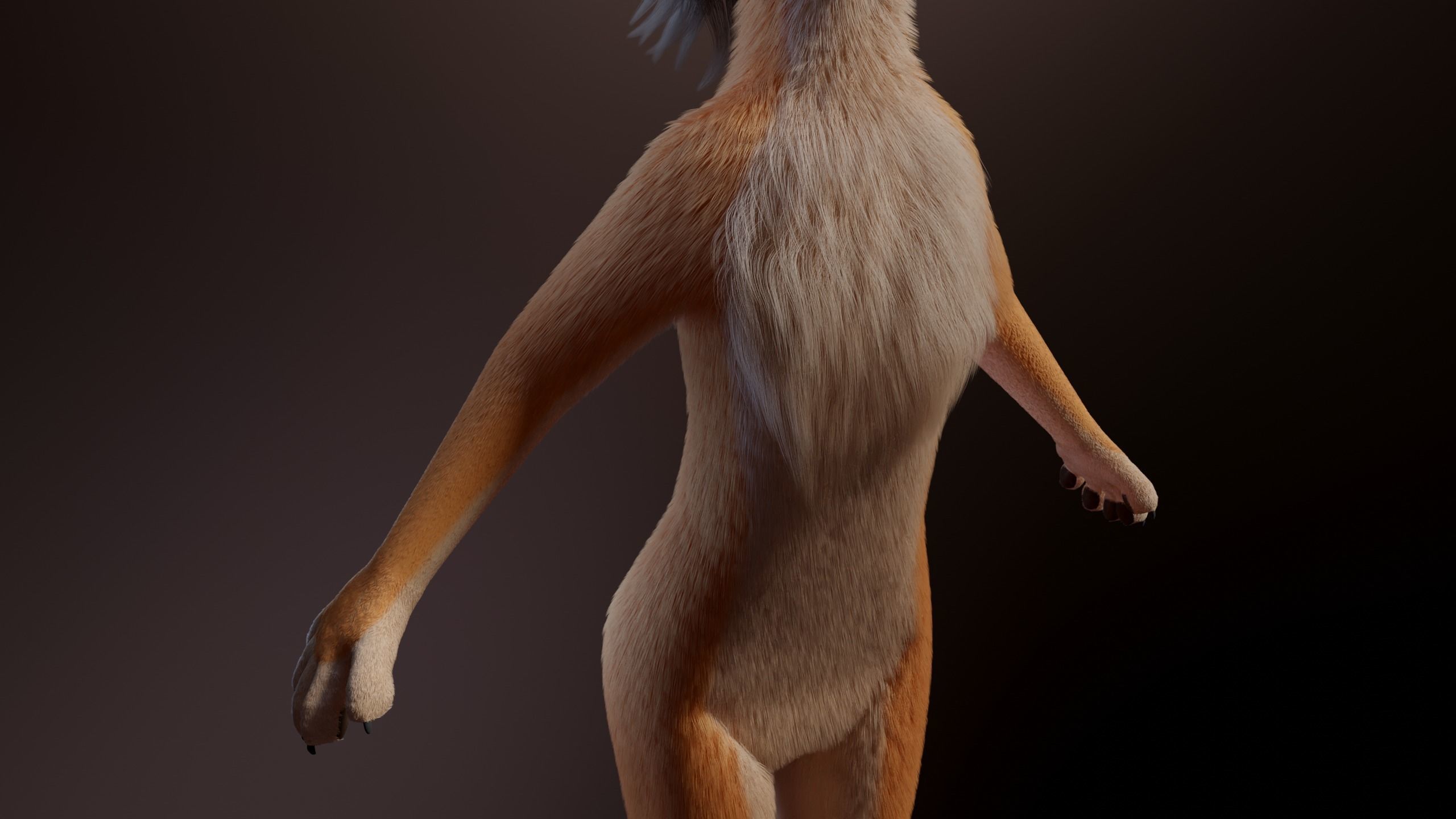 Dakota Anthro Fox 3D model rigged | CGTrader