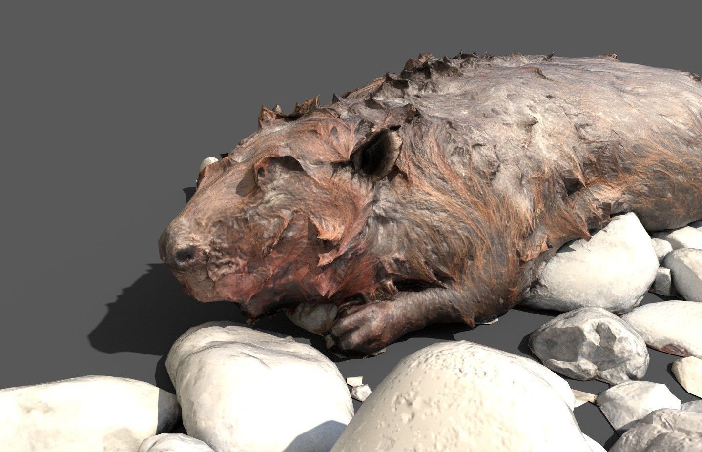 3D model Dead beaver on river bank VR / AR / low-poly | CGTrader