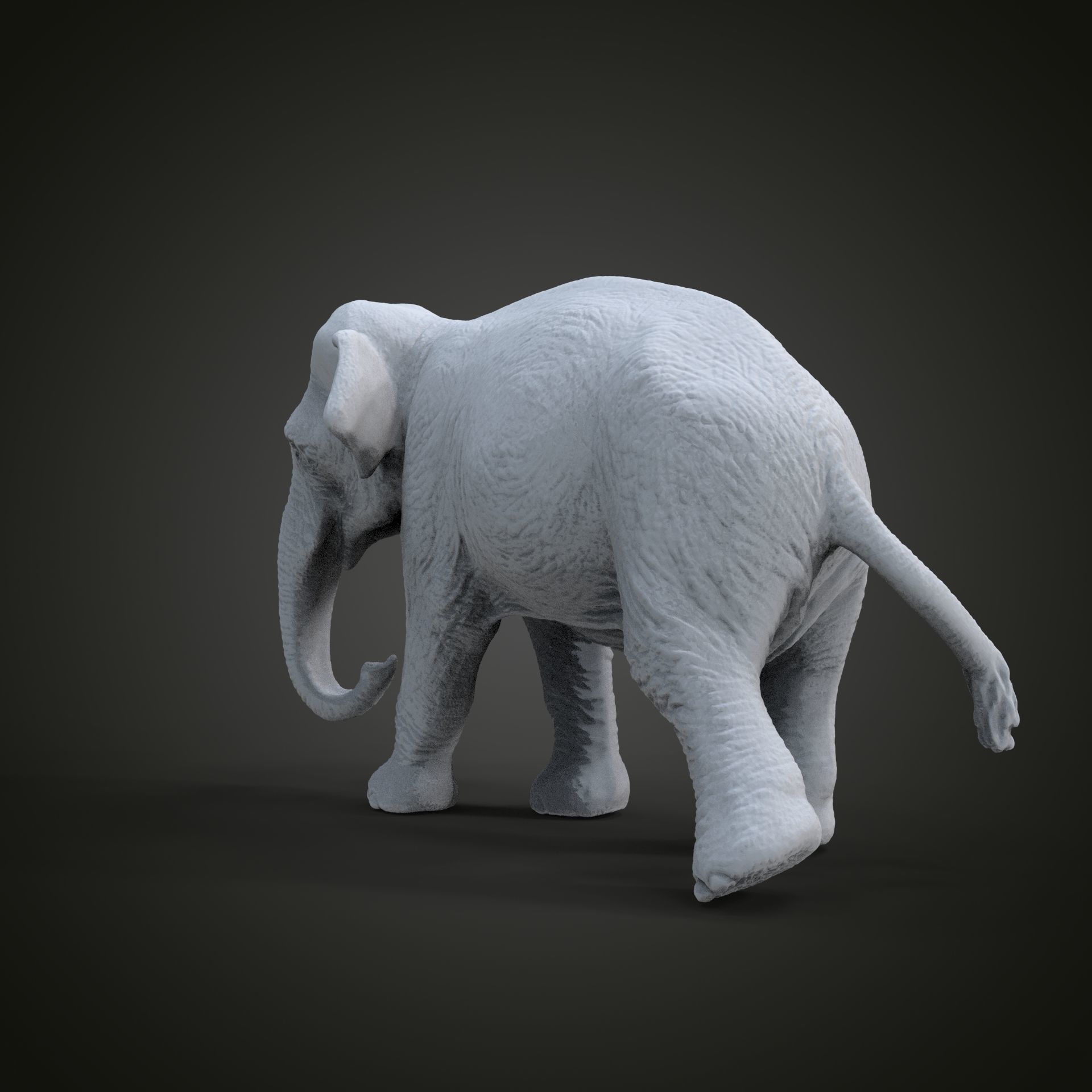 Asian elephant 3D model 3D printable | CGTrader