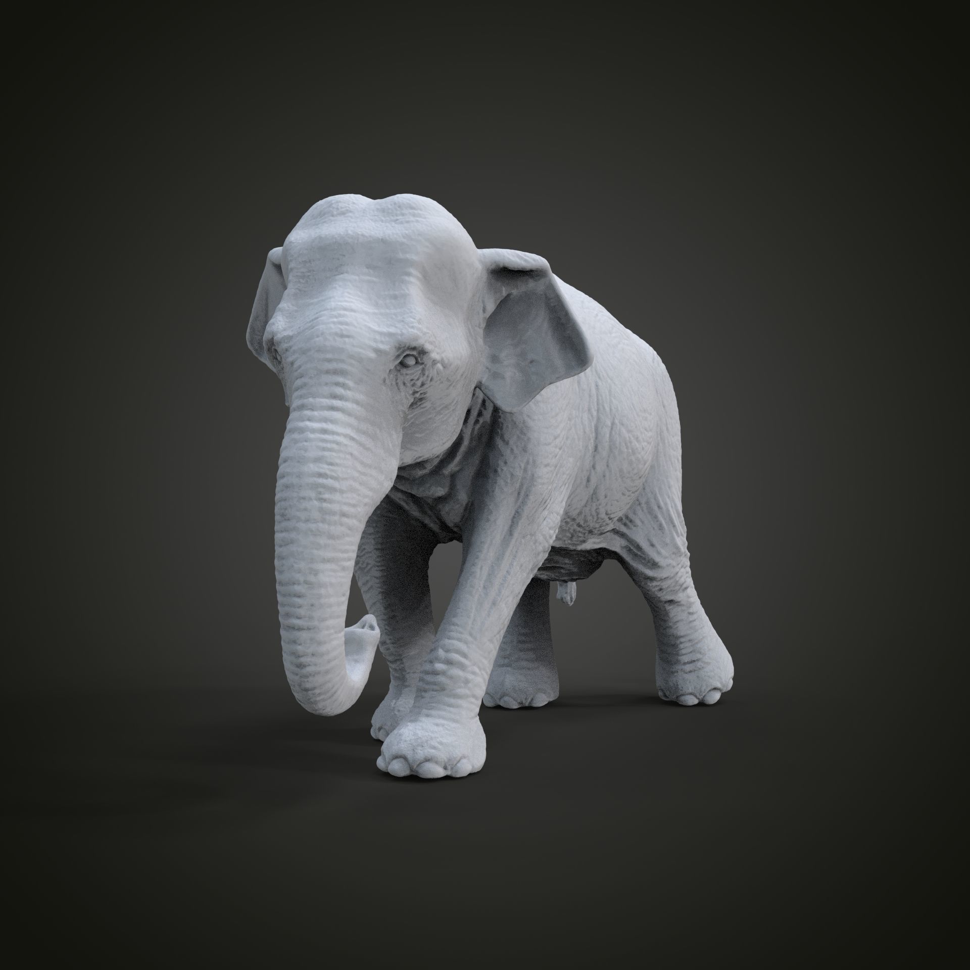 Asian elephant 3D model 3D printable | CGTrader