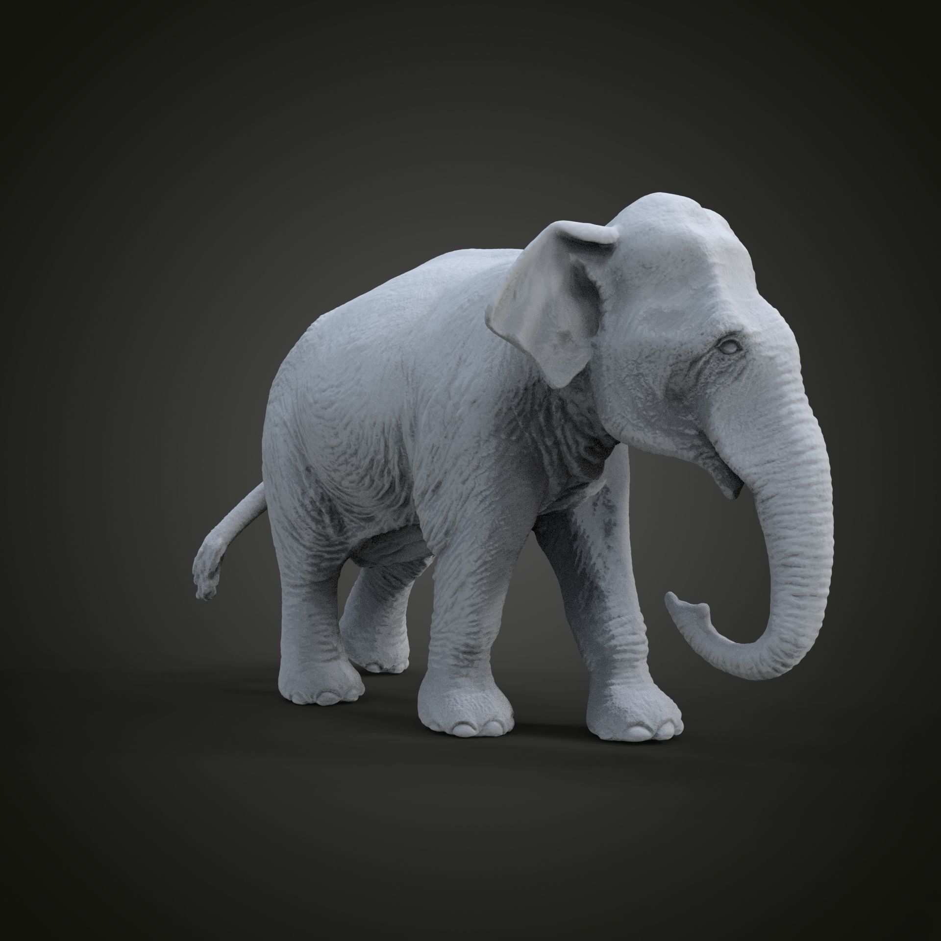 Asian elephant 3D model 3D printable | CGTrader
