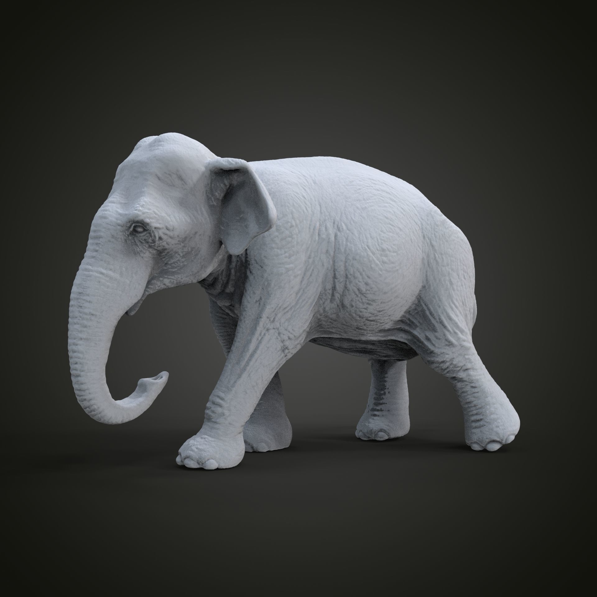 Asian elephant 3D model 3D printable | CGTrader