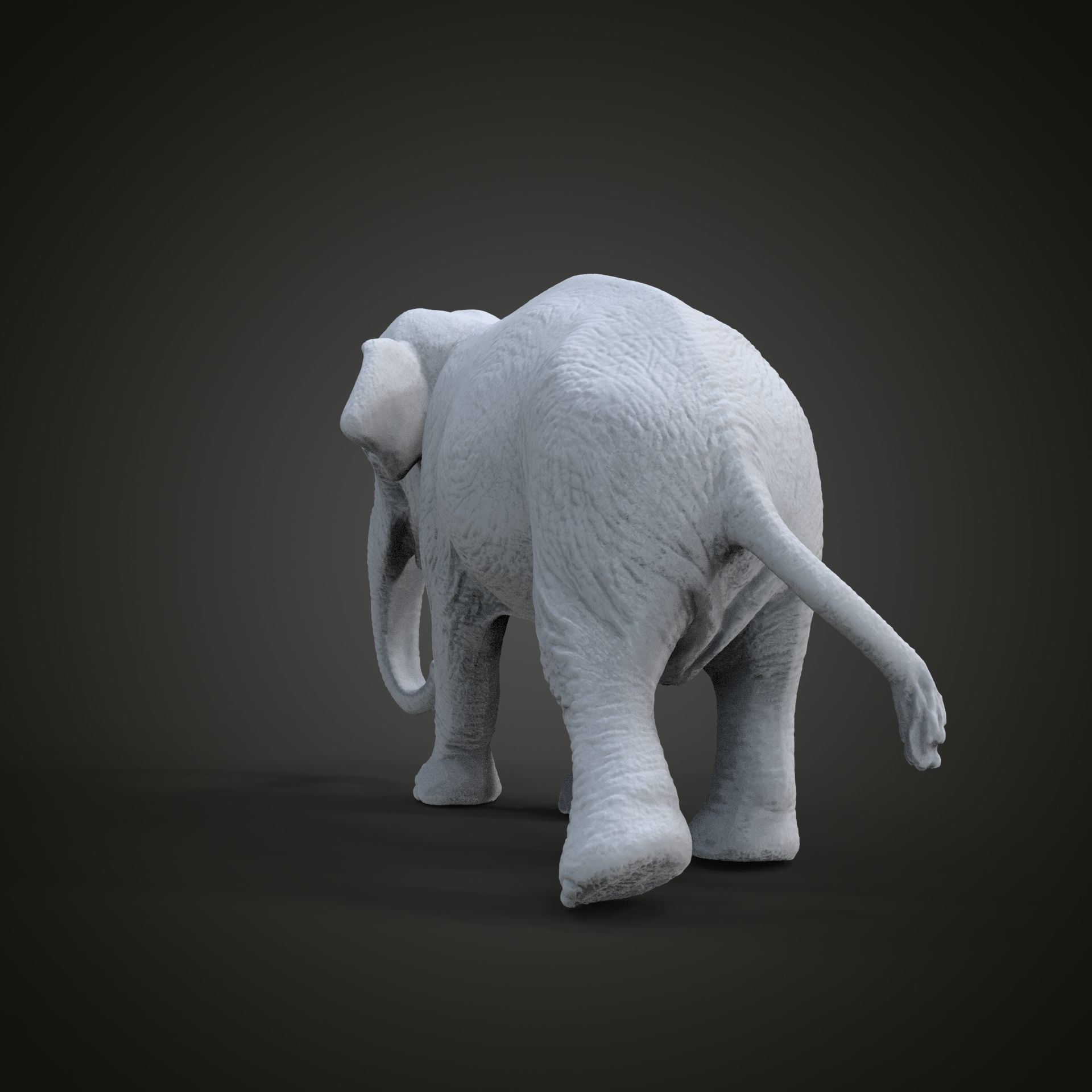 Asian elephant 3D model 3D printable | CGTrader