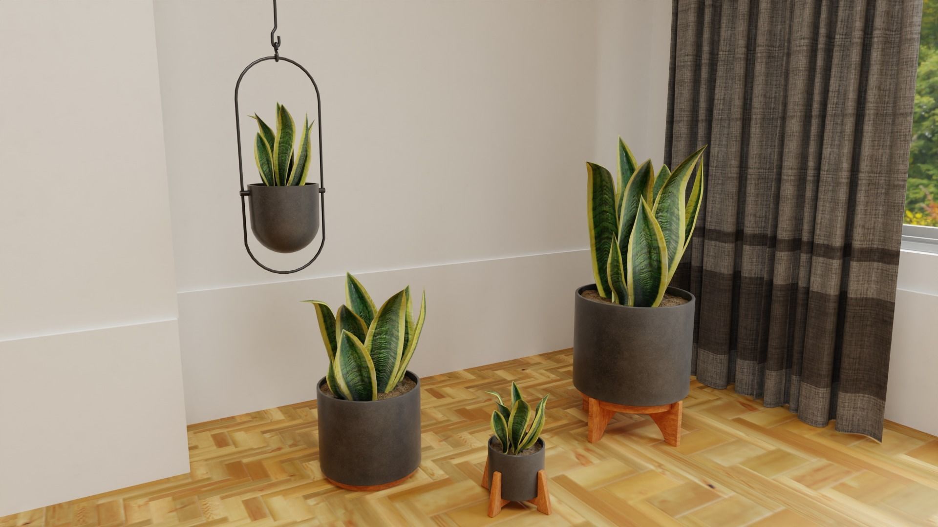 3D model Snake Plants Collection Plants Vol 01 VR / AR / low-poly ...