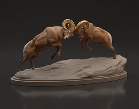 Sheep 3D Printing Models | CGTrader