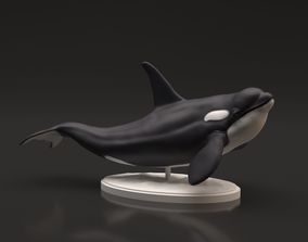 Orca 3D Print Models | CGTrader