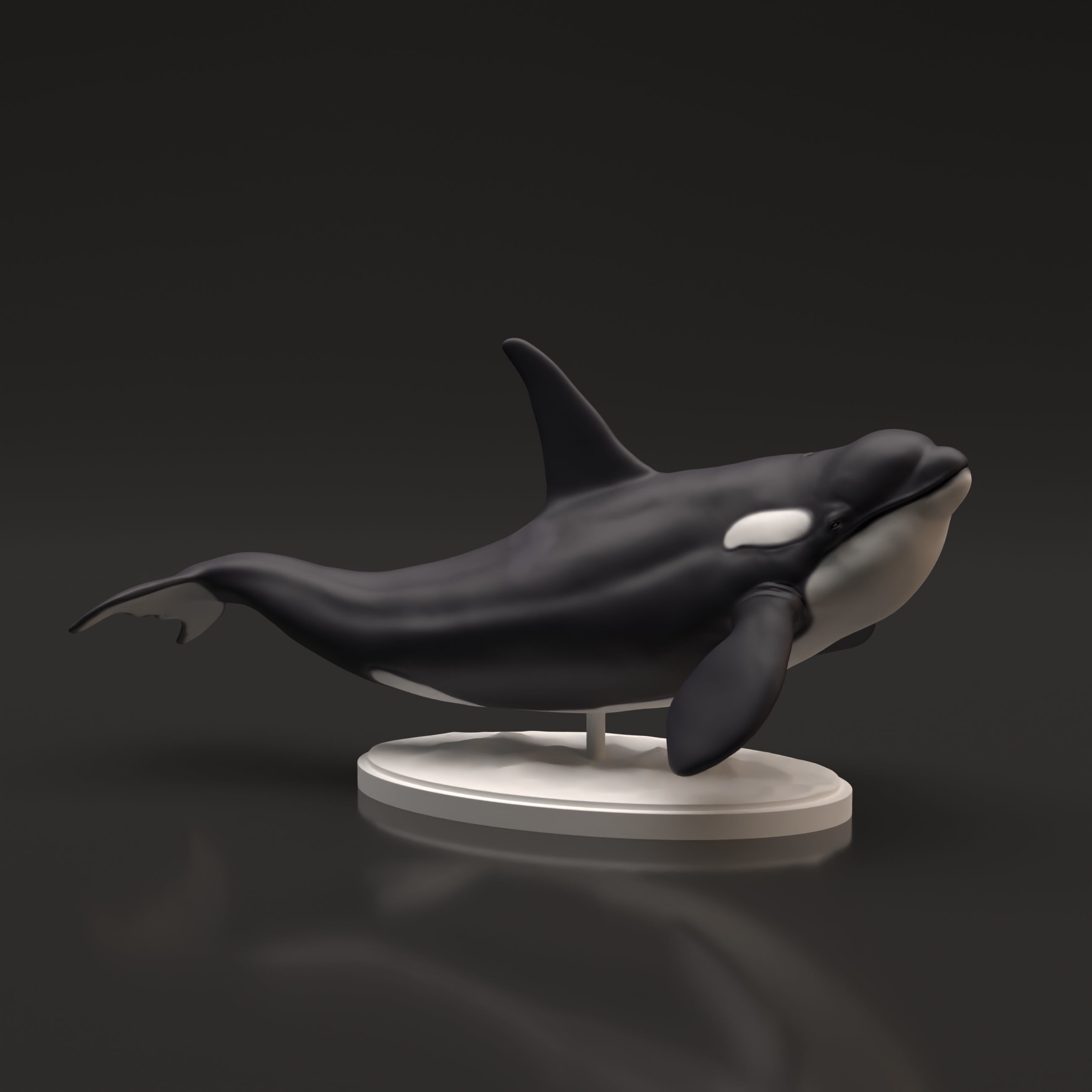 Orca for 3D Printing 3D model 3D printable | CGTrader