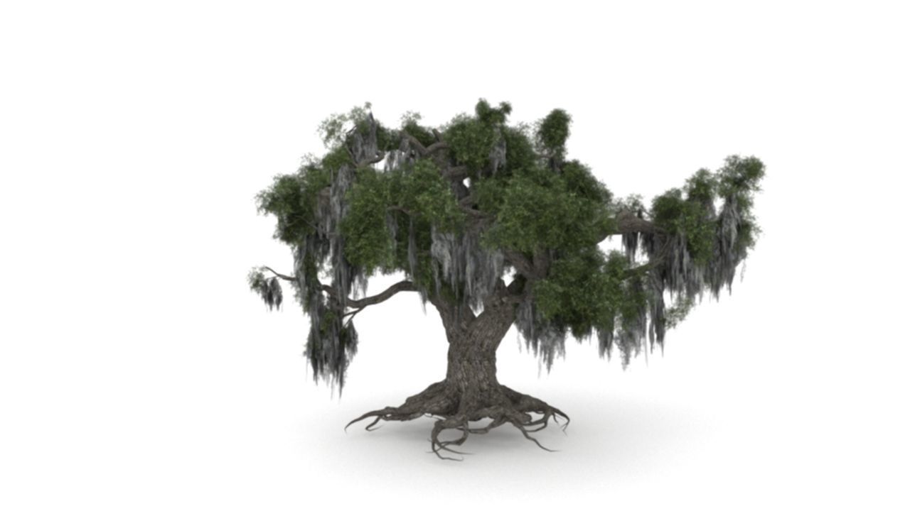 Old Tree Model 3D model | CGTrader