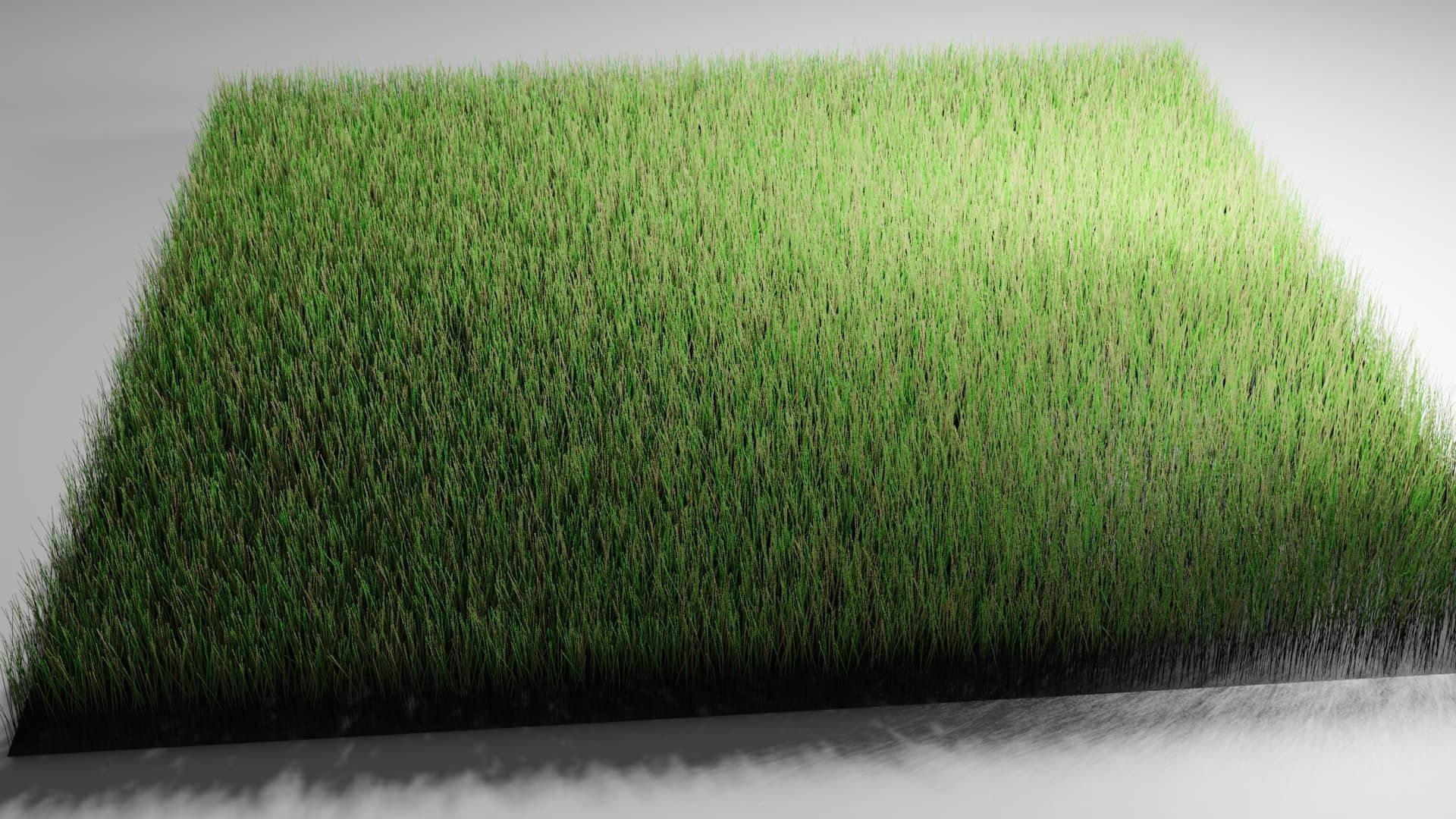 Realistic Grass 3D model 3D model | CGTrader