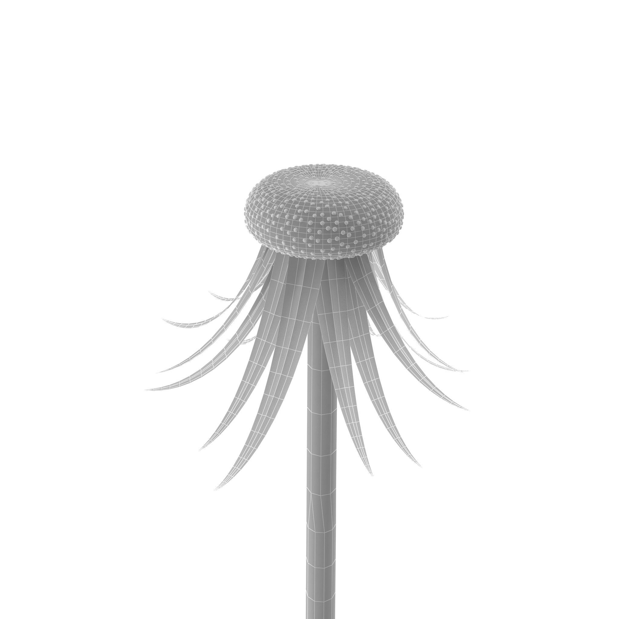 Dandelion Head V1 3D model | CGTrader