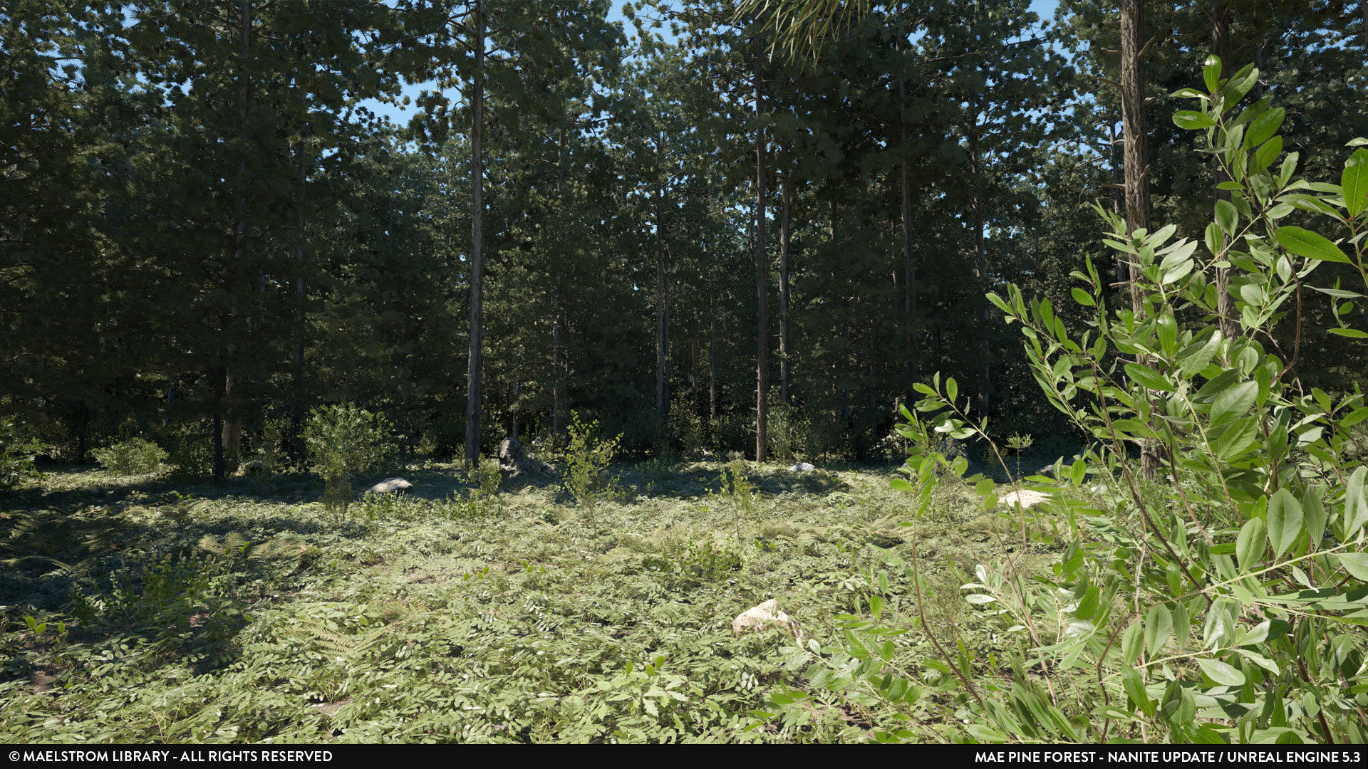 3D model MAE Pine Forest - Unreal Engine VR / AR / low-poly | CGTrader