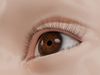 3D model EYE MODEL WITH EYELIDS AND EYELASH VR / AR / low-poly | CGTrader