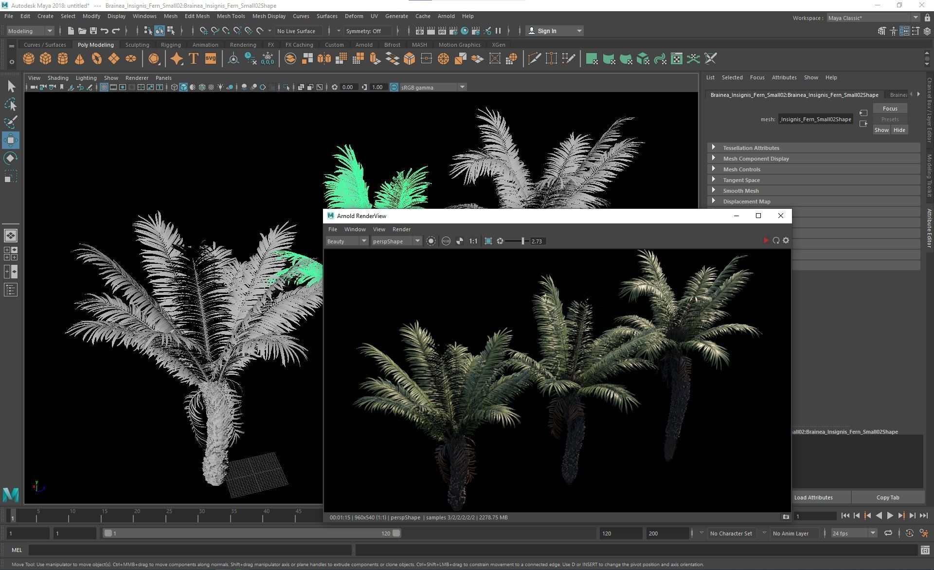 New Plant High detail Brainea Insignis Fern Small 3D model | CGTrader