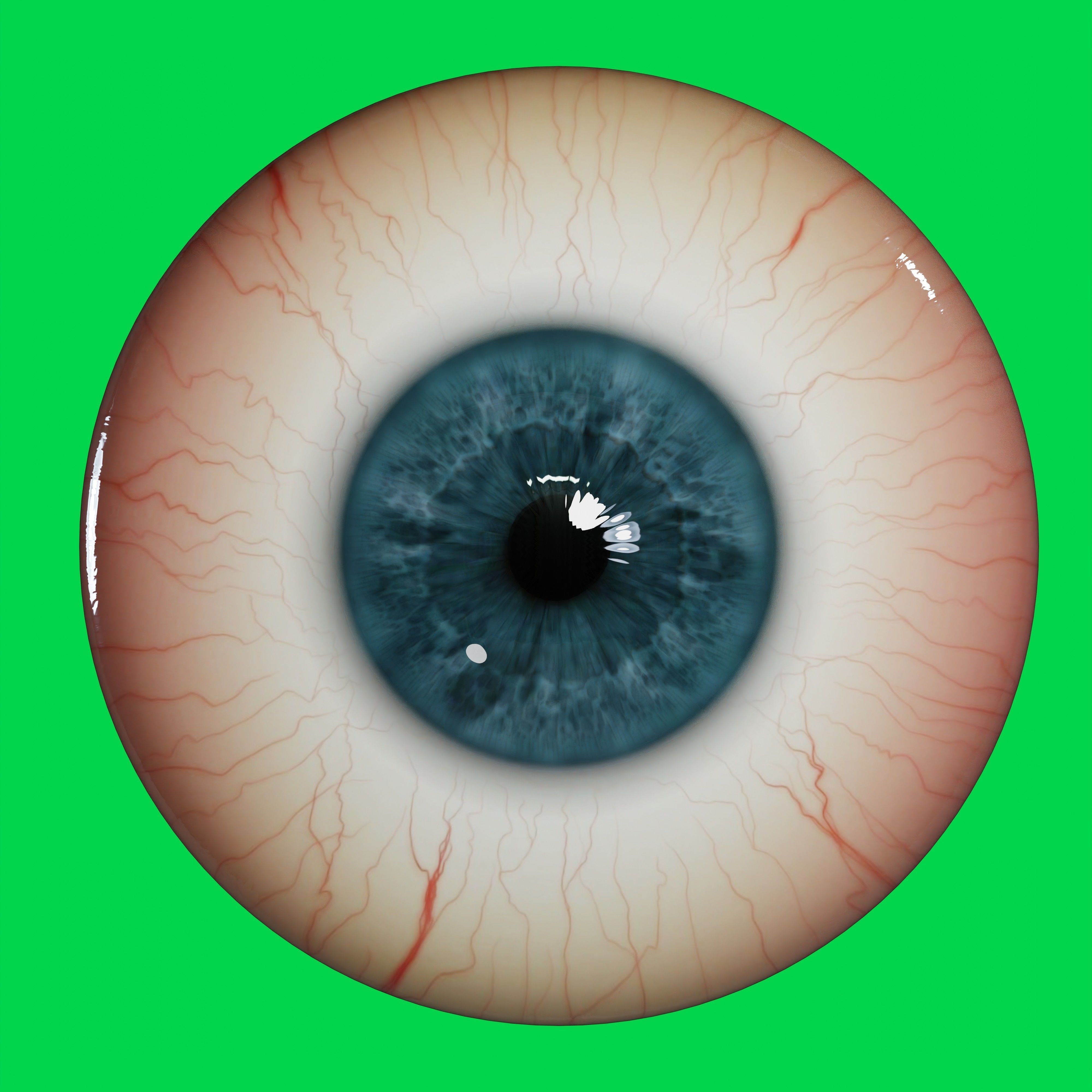Eye 3d model human free 3D model animated | CGTrader