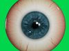 Eye 3d model human free 3D model animated | CGTrader