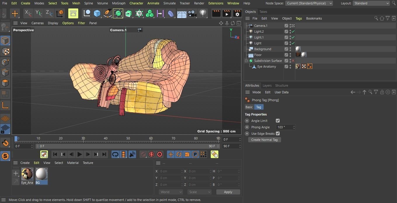 3D model Ear Anatomy Cross Section VR / AR / low-poly | CGTrader