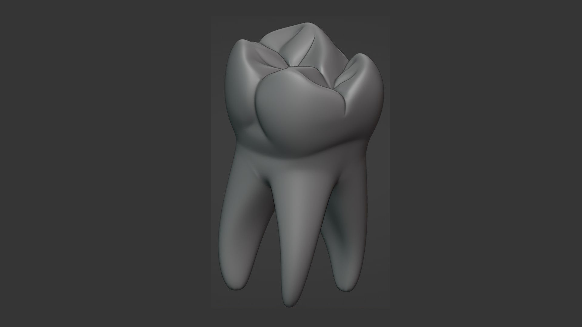 Human Tooth 3D model | CGTrader