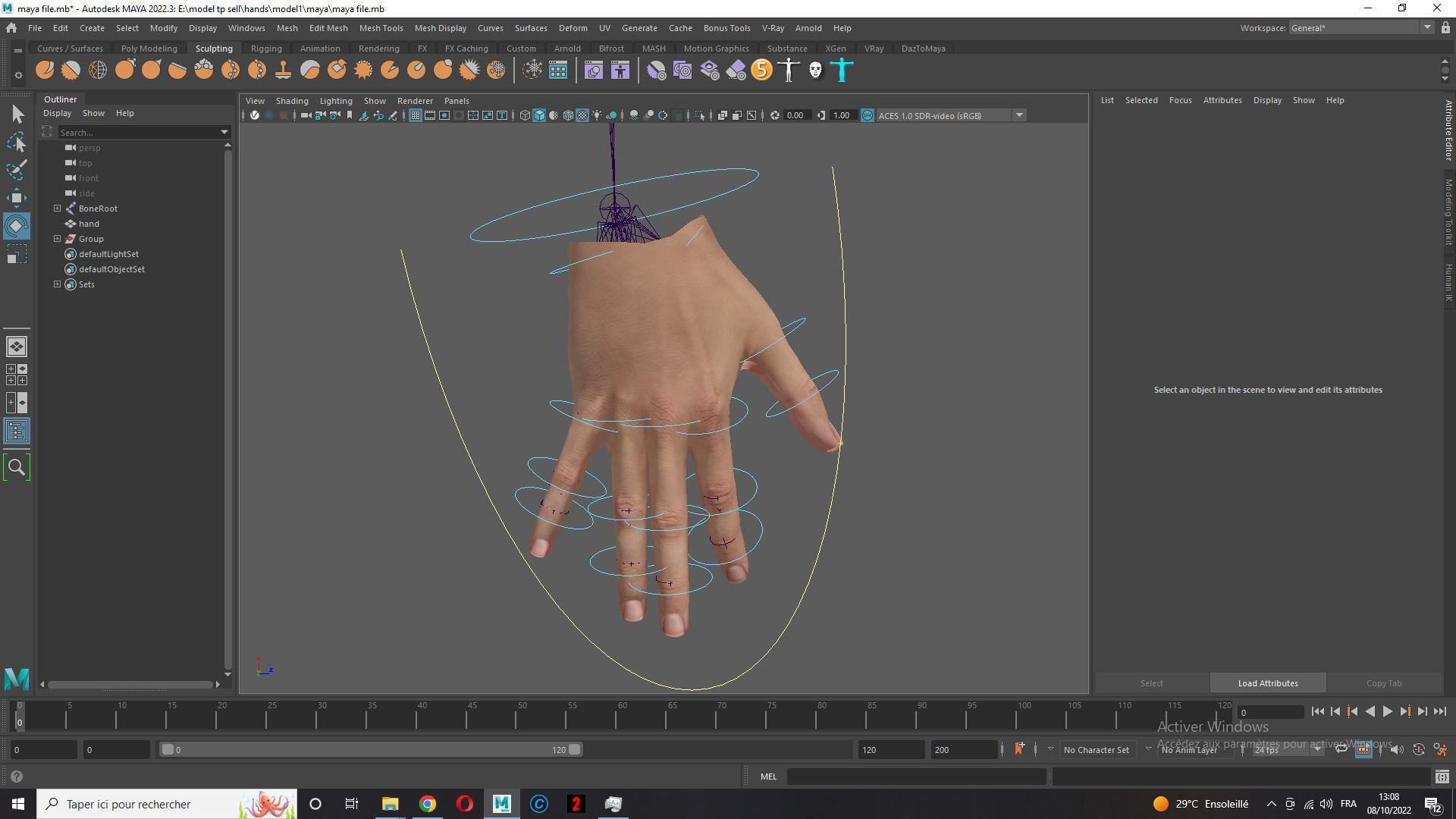 3D model Realistic Hand VR VR / AR / low-poly | CGTrader