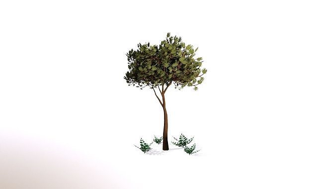 3D model Stylized Pine Spruce Tree PBR Game Ready Asset VR / AR / low ...