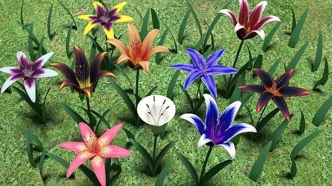 Flower pack 3D model | CGTrader