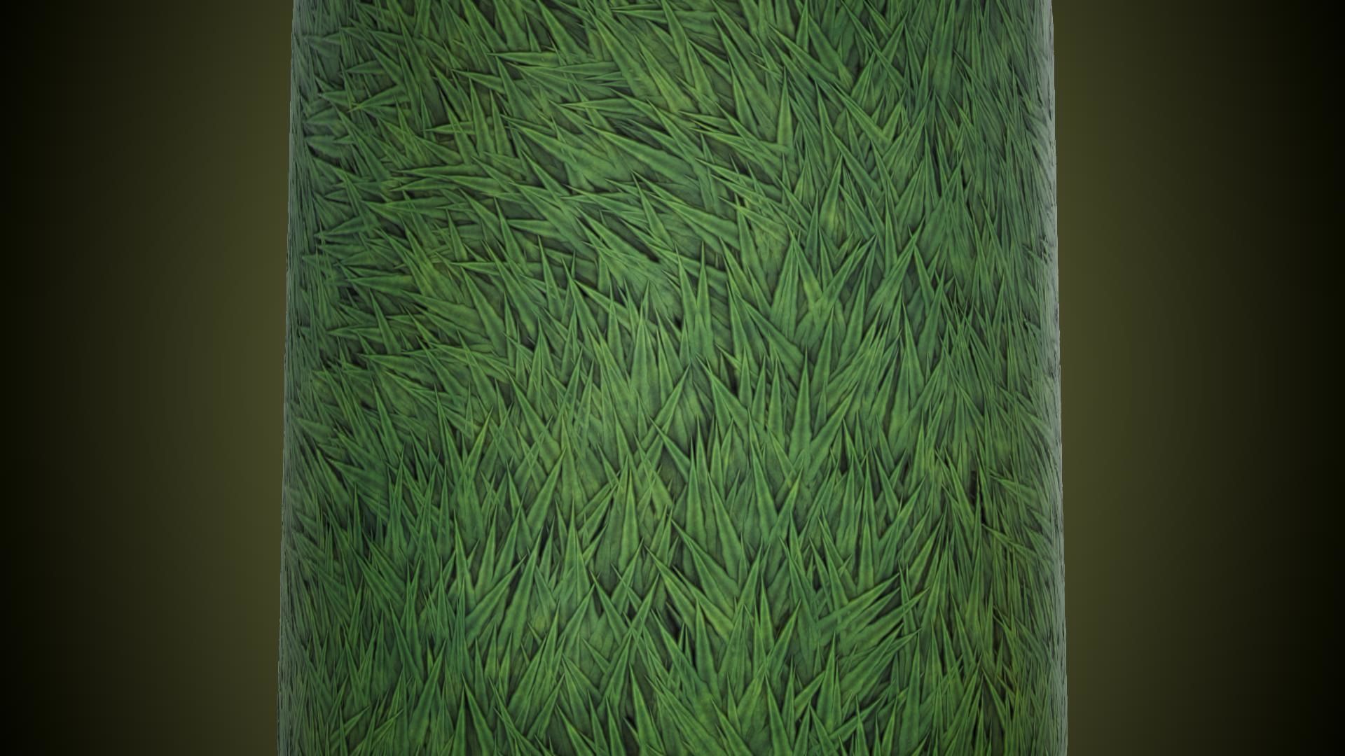 Grass PBR Tiling Texture Texture | CGTrader