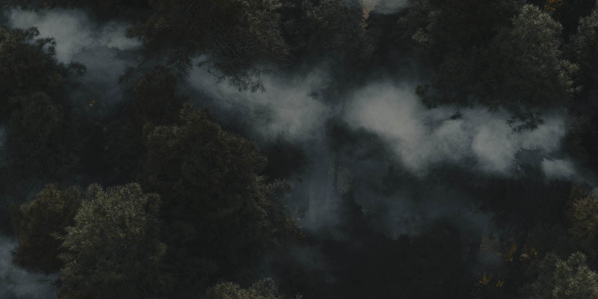 Fog Planes - Addon for Blender 3D model | CGTrader