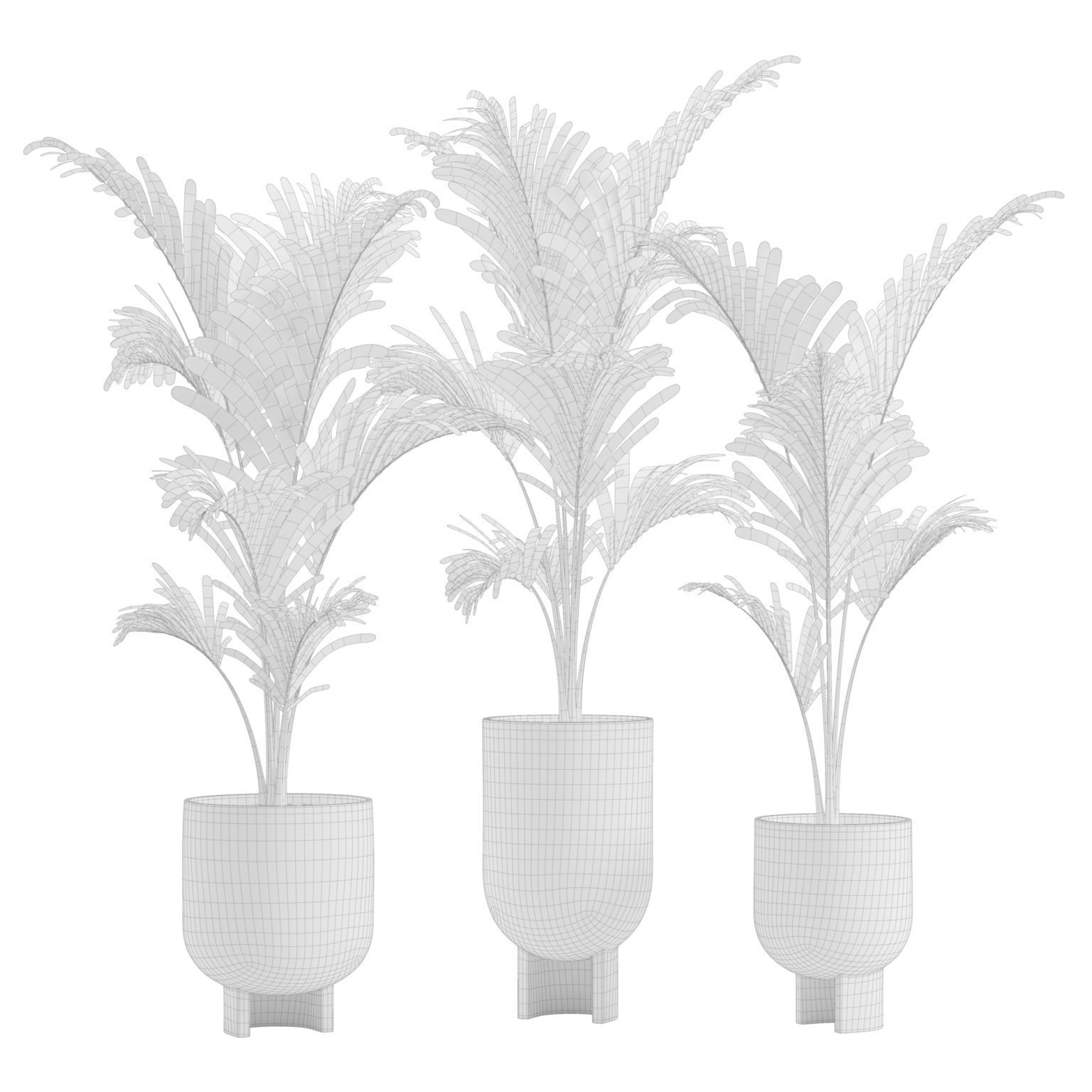 Palm Set - Ravenea rivularis 3D model | CGTrader
