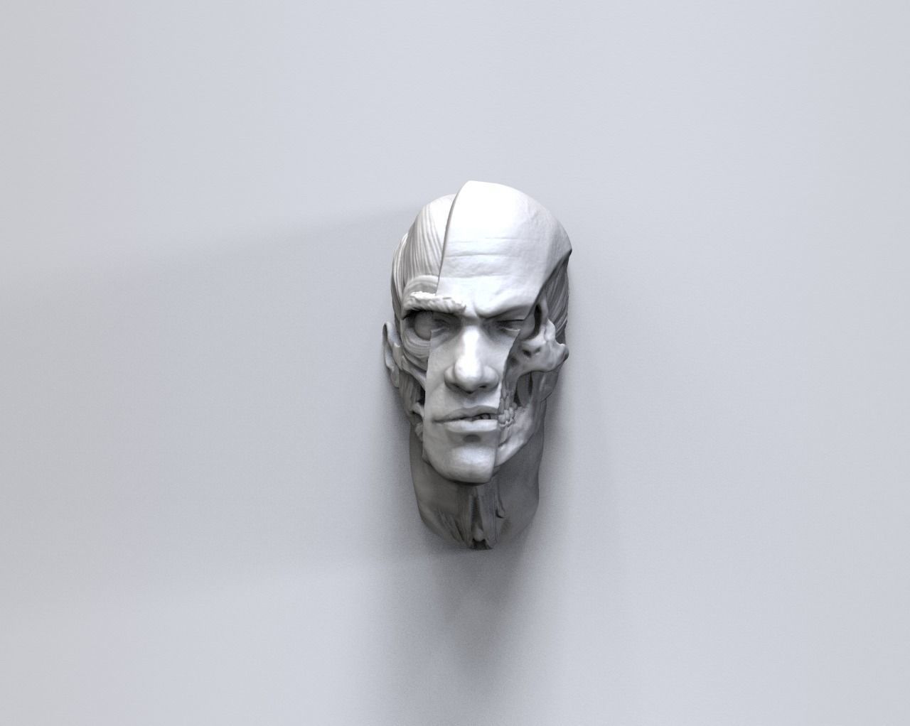 Partial Face 3D model 3D printable | CGTrader