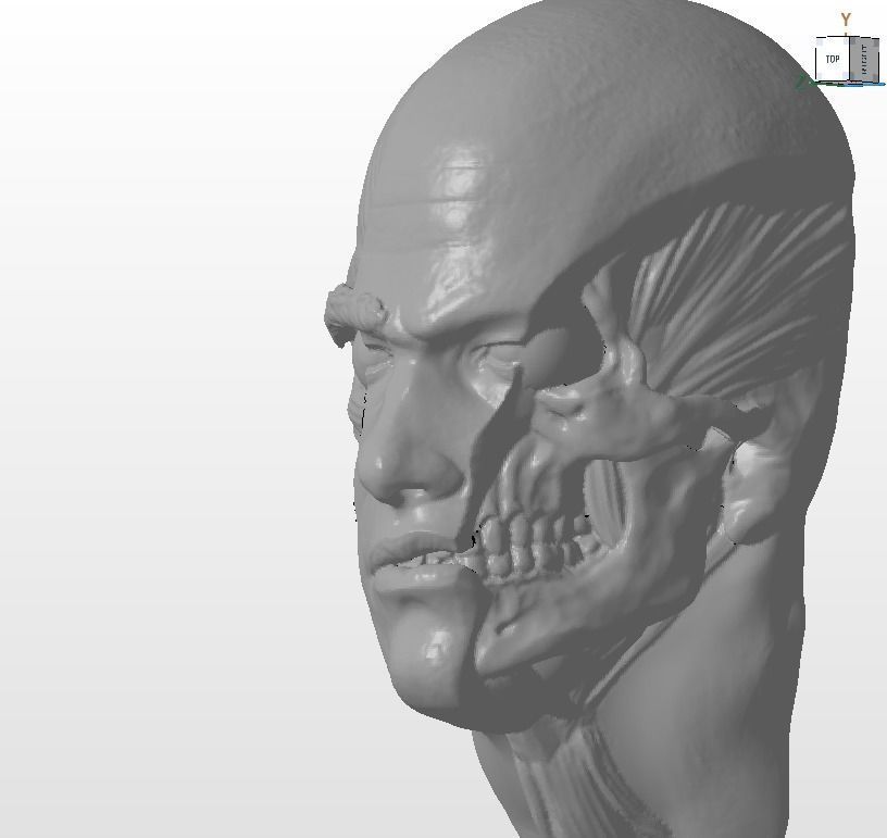 Partial Face 3D model 3D printable | CGTrader
