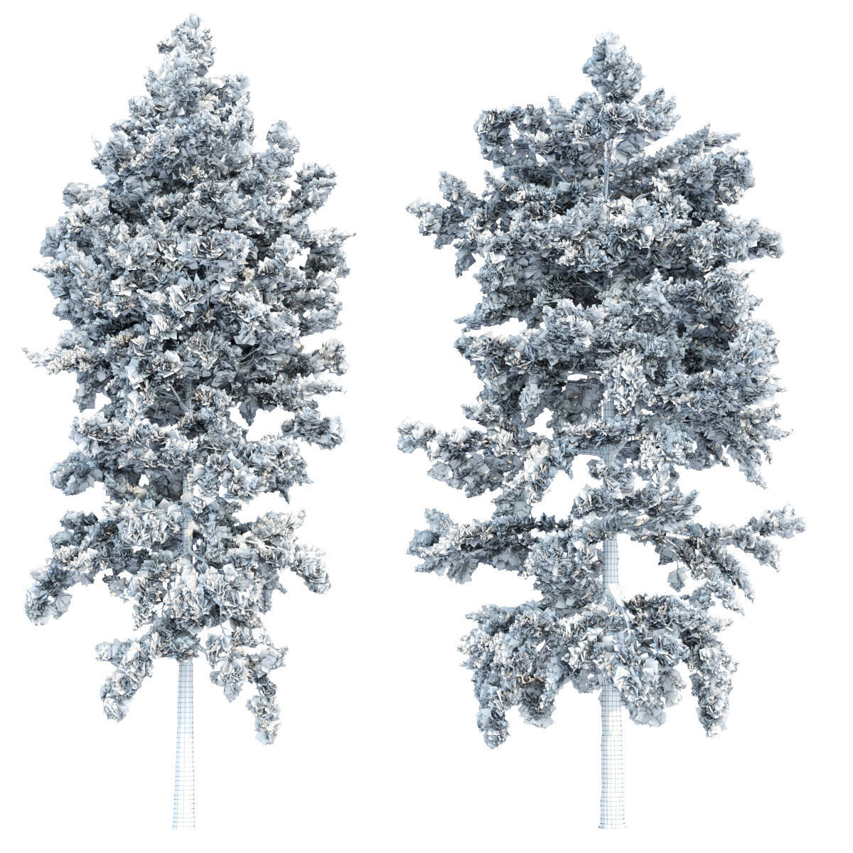 conifer trees vol 92 3D model | CGTrader