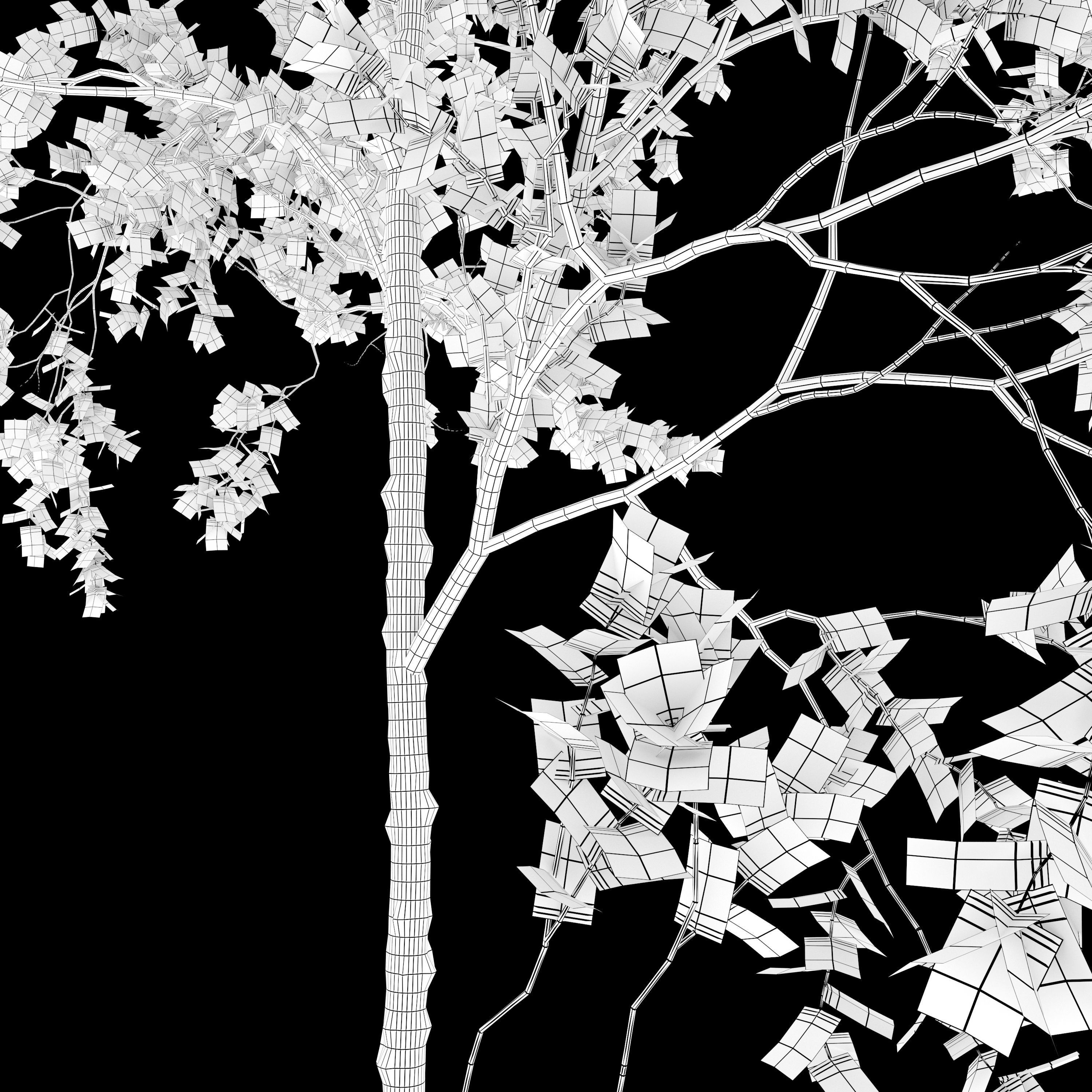 Aspen tree set 01 3D model | CGTrader