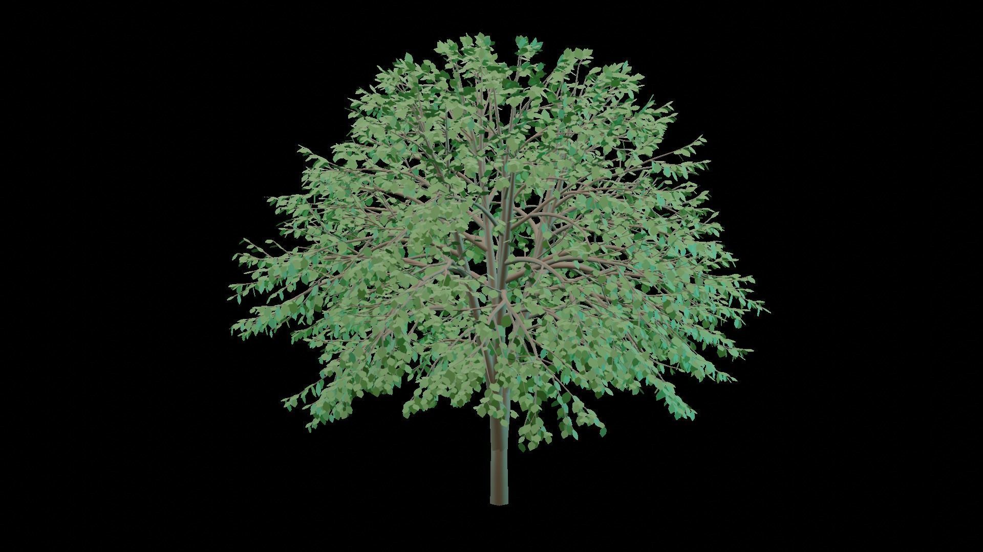 Cherry Tree Low Poly free 3D model | CGTrader