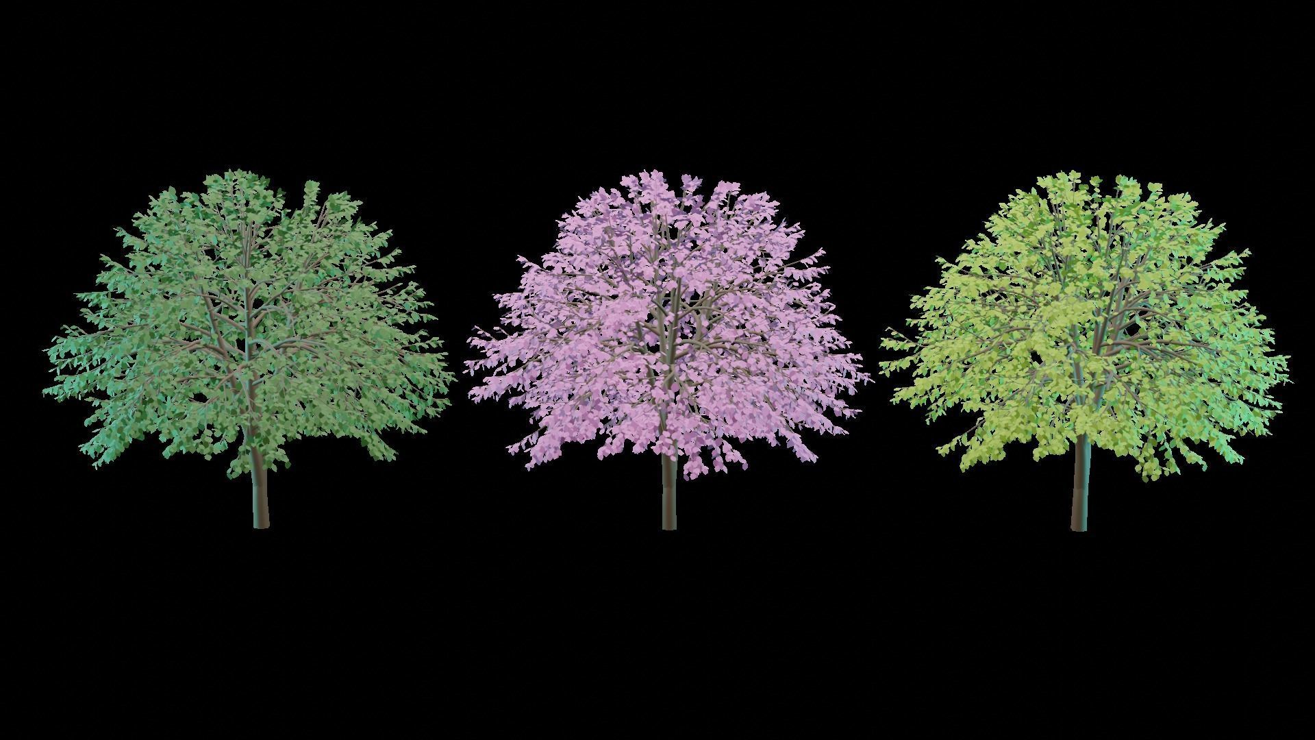 Cherry Tree Low Poly free 3D model | CGTrader