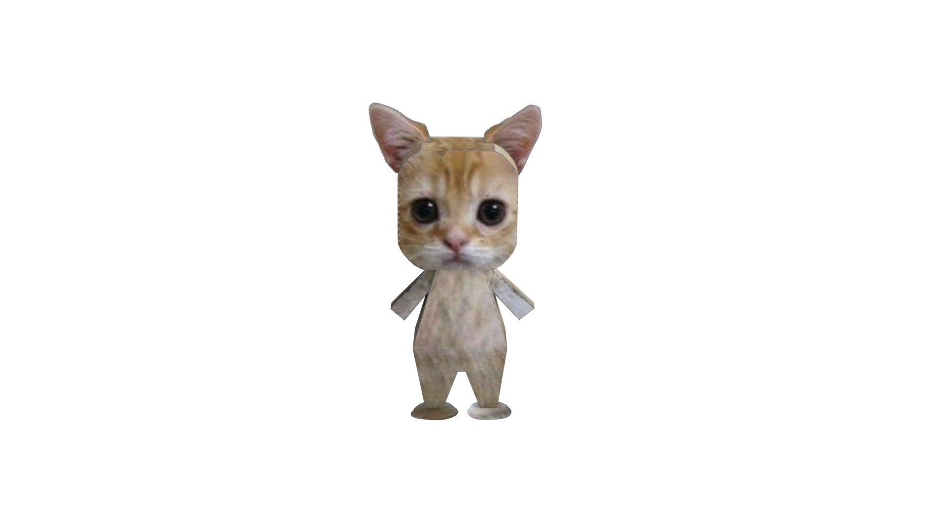 3D model The Cat - Mi gato - meme VR / AR / low-poly | CGTrader