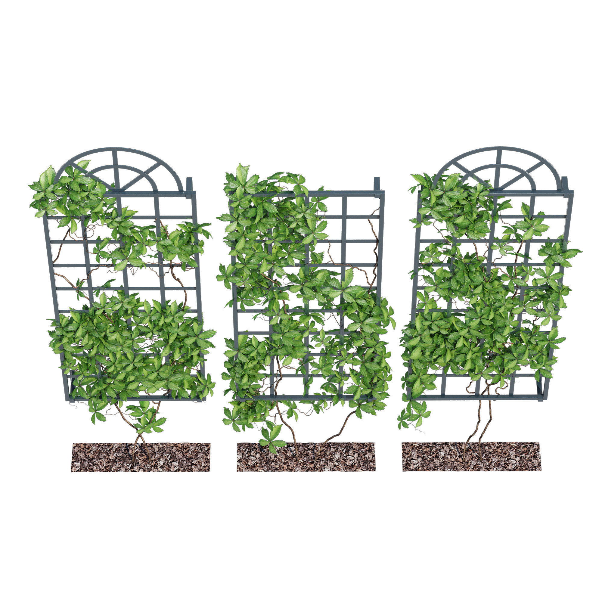 Wall trellis one 3D model | CGTrader